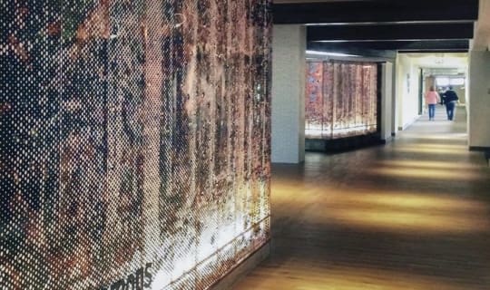 Sentry Insurance | Zahner — Innovation and Collaboration to Achieve the ...